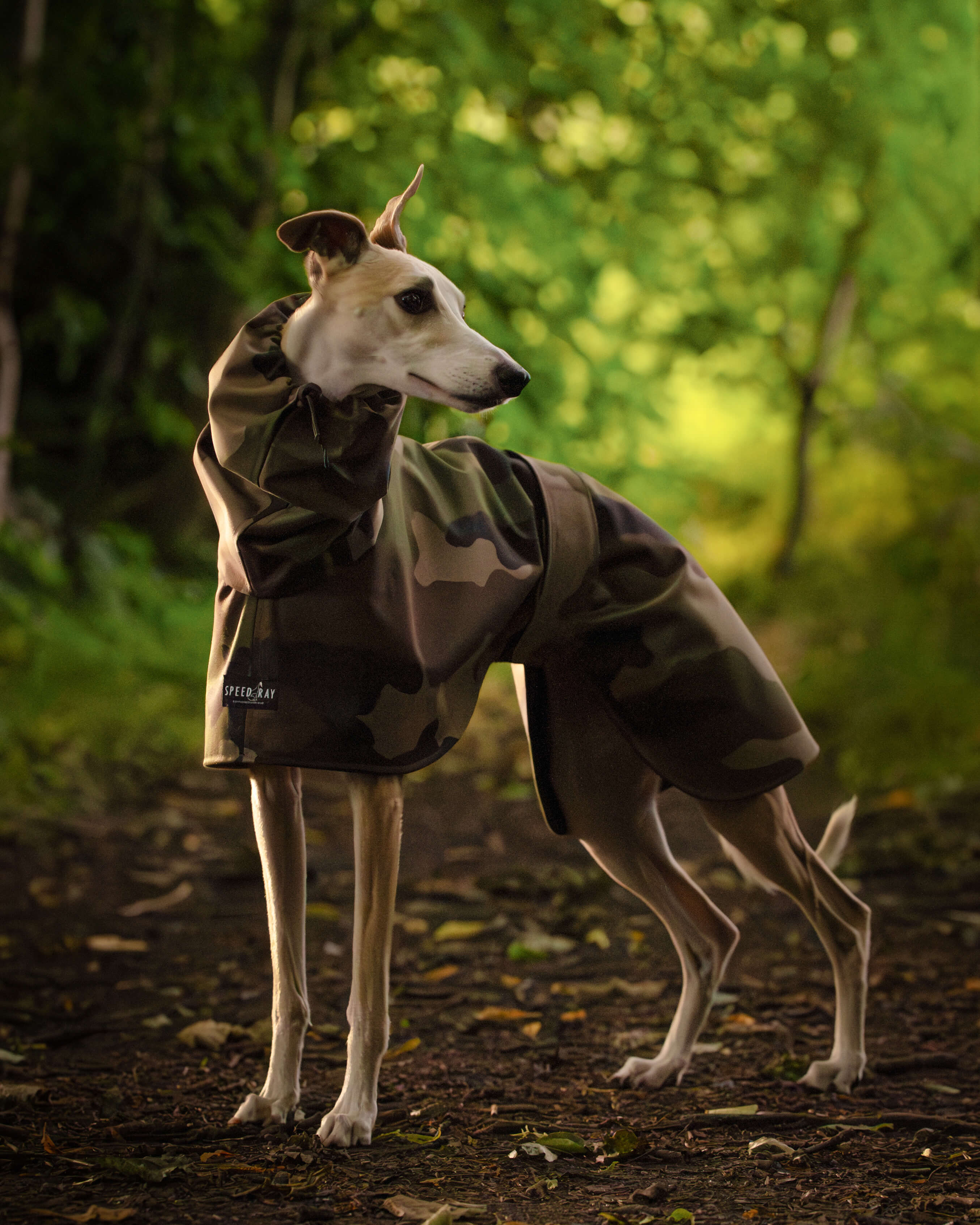 Sandy Beige Lightweight Stylish Whippet Raincoat - The DINO – Speedray ...