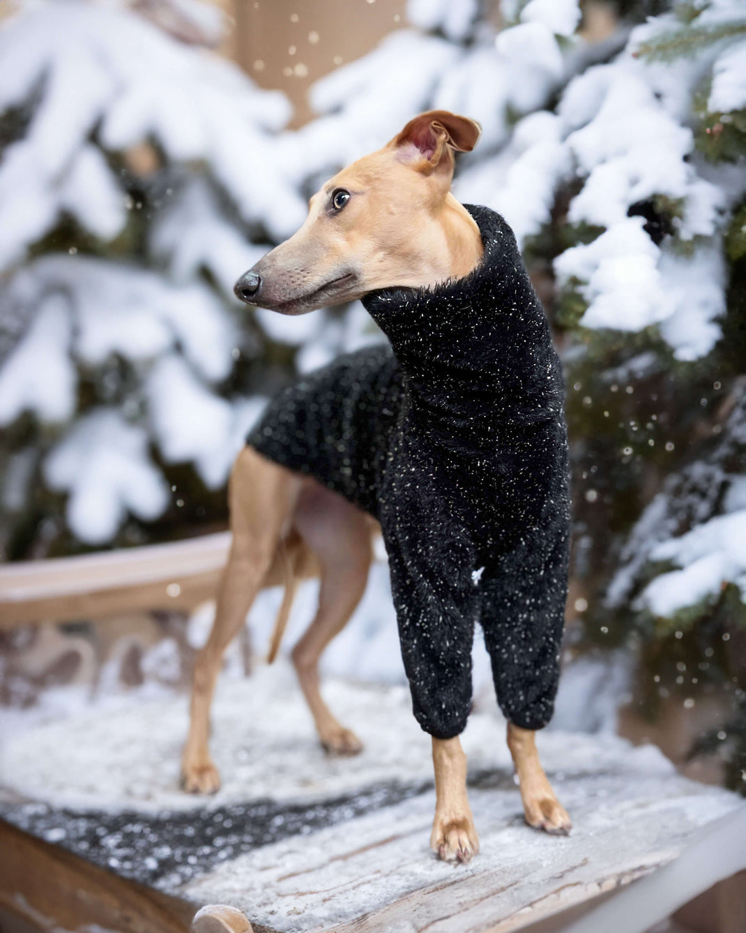 Sighthound Clothing | Dog Coats, Jumpers, Collars & Leads – Speedray ...